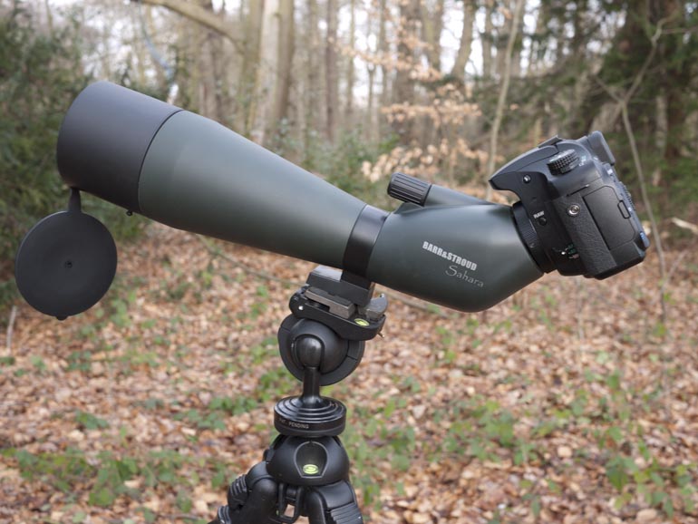 bird photography | PhotographyAttic