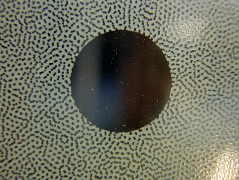 Filters | PhotographyAttic